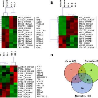 Identification And Comparison Of Differentially Expressed Proteins Download Scientific Diagram