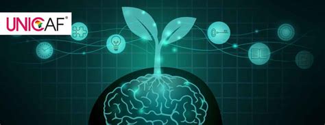 20 Brain Based Learning Activities Teaching Expertise