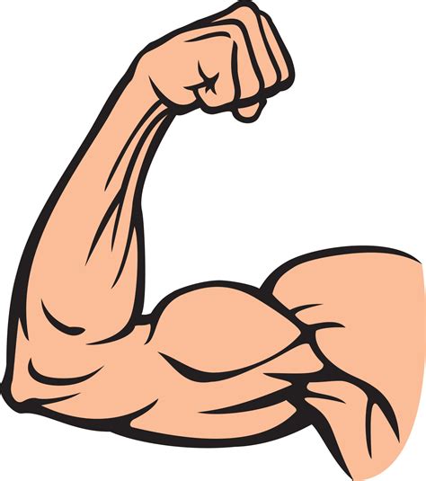 Biceps Muscle Flexing Arm Showing Power Bodybuilder Fitness Design Vector Illustration