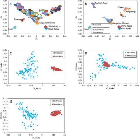 multidimensional scaling plot depicting a the relationships of racka