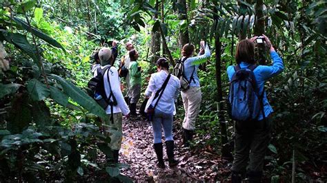 The Amazon In Peru Complete Travel Guide Machu Travel Peru