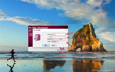Vm在nat网络模式下连接虚拟机中的oracle数据库宿主机plsql通过nat连接虚拟机里的oracle Csdn博客
