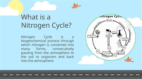 Nitrogen Cycle Steps Process Explanation Diagram 5 Steps In Nitrogen
