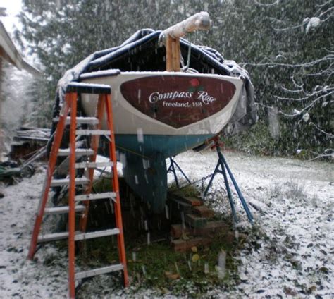 A Website For Dolphin Owners And Others Interested In