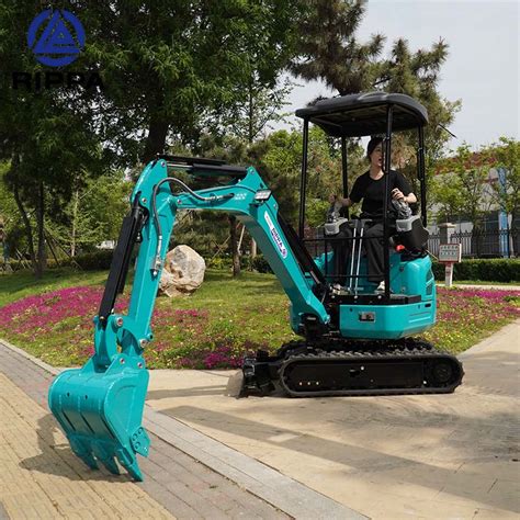 Mini Trackhoe For Sale 2 Ton China Supplier China Manufacturer China Factory Shandong Rippa
