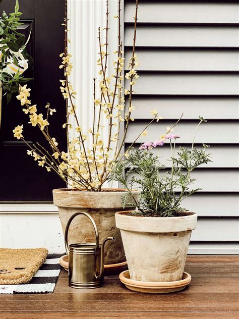 50 Quick And Easy Home Spring Refresh Ideas On A Budget