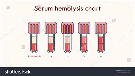 What Does Specimen Slightly Hemolyzed Mean At Thomas Gabaldon Blog