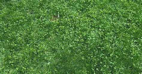 Black Medic Album On Imgur