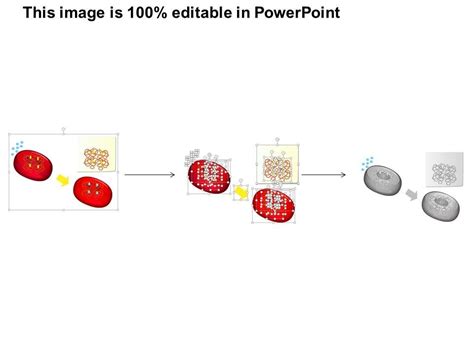 0814 Structure Of Human Hemoglobin Molecule Medical Images For PowerPoint PowerPoint Templates