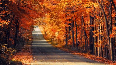 Hd Windows Autumn Wallpapers Wallpaper Cave