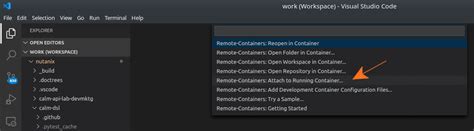 Nutanix Calm DSL Remote Container Development Part 1 Nutanix Dev