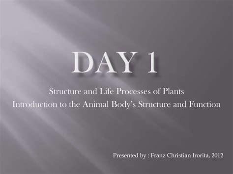 Dermal Tissue System Plant Ppt Overview Pdf Dermal Tissue System Plant Ppt Overview Pdf