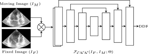 Figure 1 From Multi Scale Data Driven And Anatomically Constrained