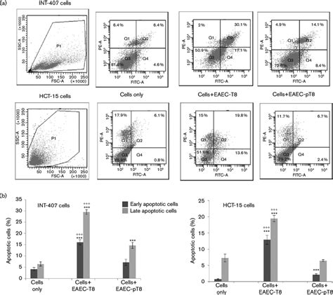 A Representative Dot Plots Indicating The Gated Cells And The FACS Download Scientific