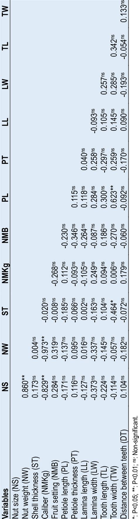 Bivariate Correlation Coefficients Between Variables Download Table