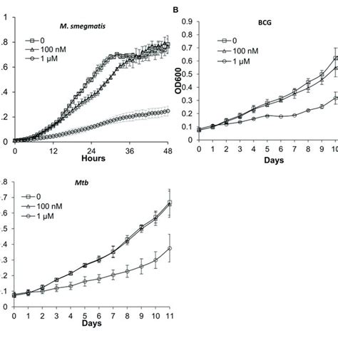 Preparation Of Agar Bead Embedded Bacteria Individual Or Mixed Download Scientific Diagram