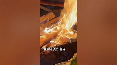 캠핑 불멍 대전 걷기 같이갑시다 Youtube