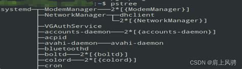 linux查看进程 linux 查看进程 csdn博客