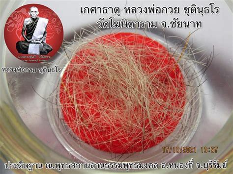 ๒ พฤศจิกายน ๒๕๖๗ ครบ ๑๑๙ ปี ชาตกาล พระคุณหลวงปู่กวย ชุตินธโร ขอน้อมถวายกุศลทั้งหมดที่ทำมาถวาย