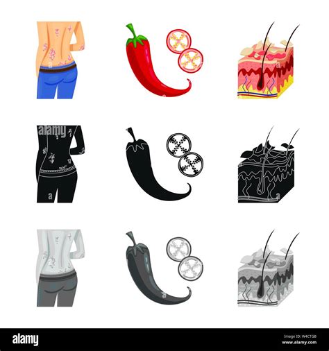 Vector Vectors Stock Vector Image And Art Alamy