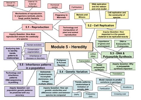 Module 5 Heredity Mind Map Internal Vs Sexual Vs External Asexual