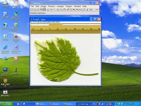 Imagej 测量单个结构 哔哩哔哩 Bilibili