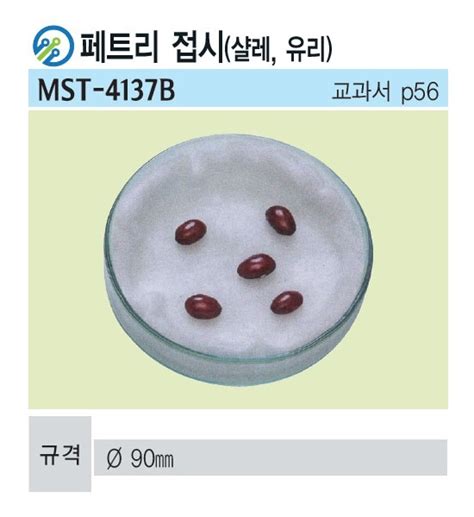 샬레 페트리접시유리 지름90mm 교구 4137a