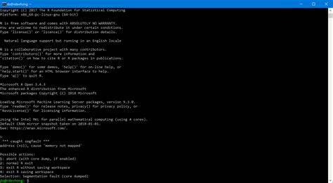 pressing del in the r terminal brings up close prompt · issue 16 · mikhailarkhipov vscode r