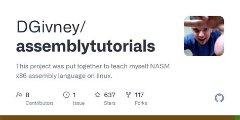 Assemblytutorialscodelesson35socketasm At Master · Dgivney