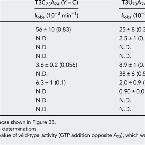 Nucleotide Addition Reaction For Natural Ntps And Various Gtp Analogs Download Scientific