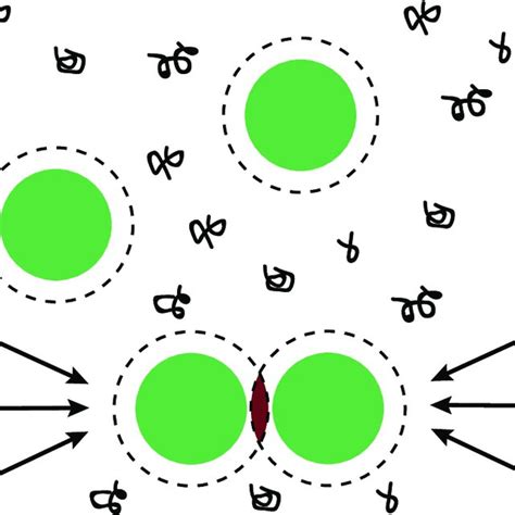Schematic Depiction Of Depletion Interaction In A Mixture Of Colloidal Download Scientific