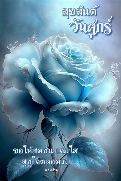 สุขสันต์ วัน ศุกร์ ดอกไม้สวย สวัสดีตอนเช้า สุขสันต์วันศุกร์