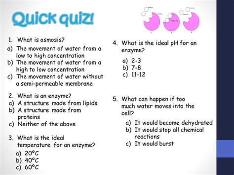 New Gcse Aqa B10 The Human Nervous System Teaching Resources