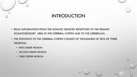 SOLUTION Somatic Sensory Pathways Nursing Ppt Lecture Notes Studypool