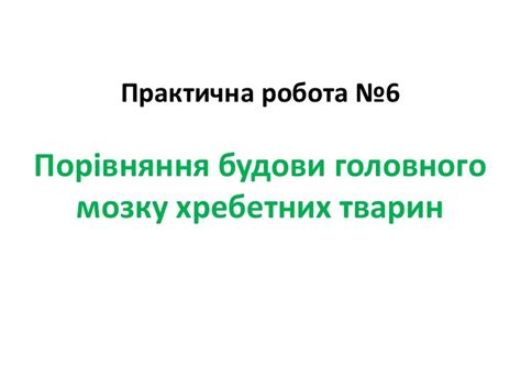 Презентація практична робота № 6 «Порівняння будови головного мозку хребетних тварин