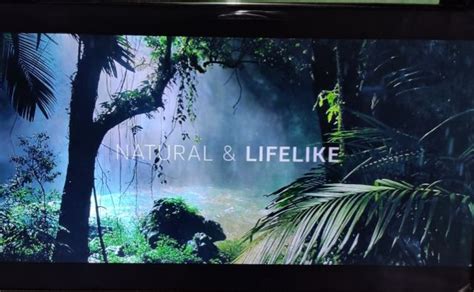 How To Play Local Media Files On Android Tv Guide Beebom