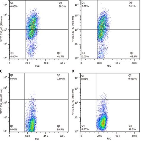 Sorting Efficiency Of Cells A Sorting Efficiency Of GV358 Control