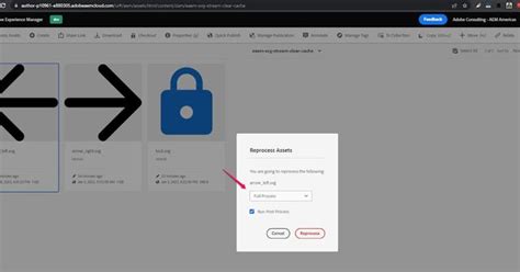 Aem Cloud Service Nodejs Script To Reprocess Assets Raem