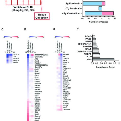 Rna Seq Analysis Reveals A Dlk Dependent Gene Signature In Both The Download Scientific Diagram