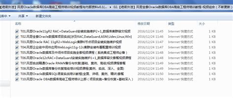 【绝密外泄】风哥oracle数据库dba高级工程师培训视频教程与内部资料v0 1 oracle dba数据库工程师培训视频下载 csdn博客