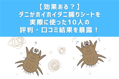【効果ある？】ダニがホイホイダニ捕りシートを実際に使った10人の評判・口コミ結果を暴露！ ダニ取りのおすすめ