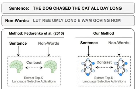 How Specialized Units In Llms Mirror The Human Brain Tech Xplore