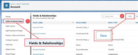 Standard And Custom Fields In Salesforce