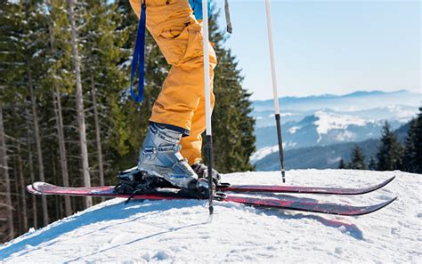 노란색 스키 바지 입고 스키 산 장비 기어 스포츠 액티브 라이프 스타일 스포츠 겨울 개념에 슬로프 꼭대기에 서 있는에 스키의 총 자른 겨울에 대한 스톡 사진 및 기타 이미지