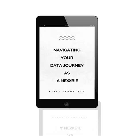 Buy Navigating Your Data Journey As A Newbie By Peace Oluwatayo On Selar