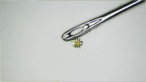 Scientists Finish Worlds Smallest Remote Controlled Robot