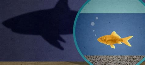 Hyperbole Definition Meaning And Examples