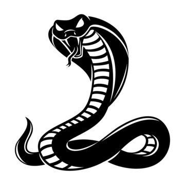 Vipers Mascot Bilder – Durchsuchen 4,966 Archivfotos, Vektorgrafiken ...