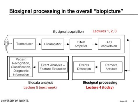 Biosignal Processing
