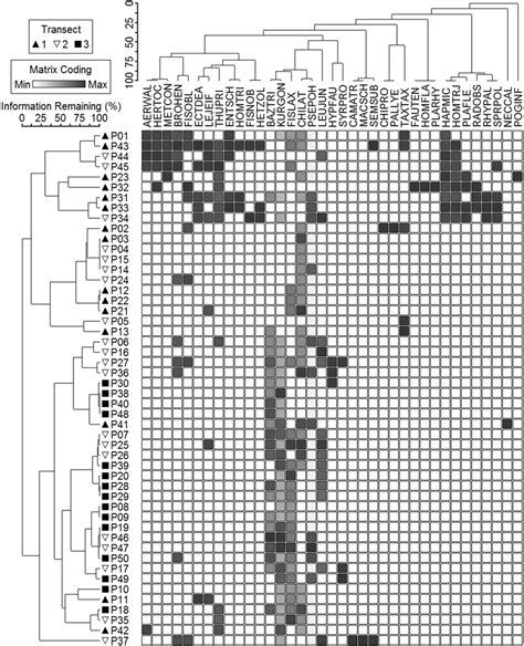 Two Way Cluster Dendrogram Showing Plot Groupings And Bryophyte